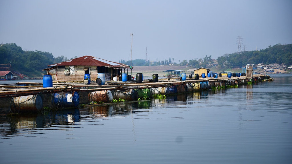 Keramba Jaring Apung Waduk Jatiluhur - Foto Tirto.ID