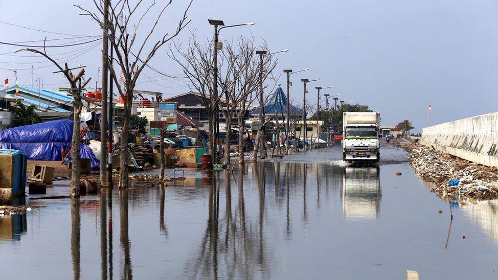 Banjir Rob Melanda Kawasan Muara Baru