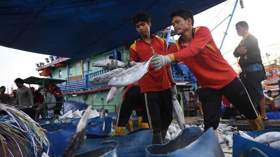 Ikan Tuna Hasil Tangkapan Nelayan Menurun