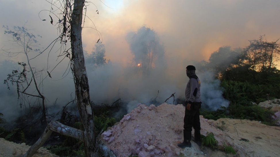 Kebakaran Hutan di Riau Semakin Meluas