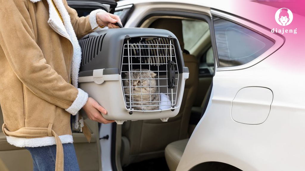 Tips Membawa Kucing Perjalanan Jauh Naik Mobil