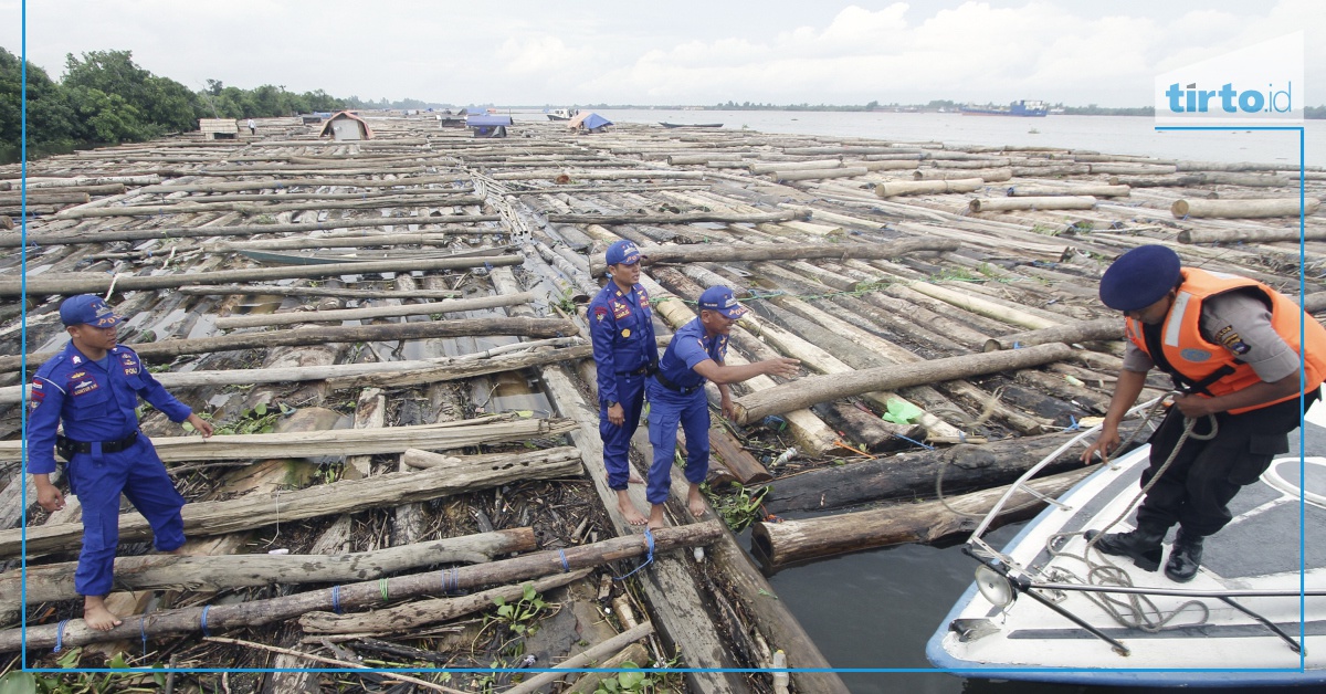 KLHK Sita 17 Kontainer Kayu Ilegal dari Pulau Seram di Surabaya