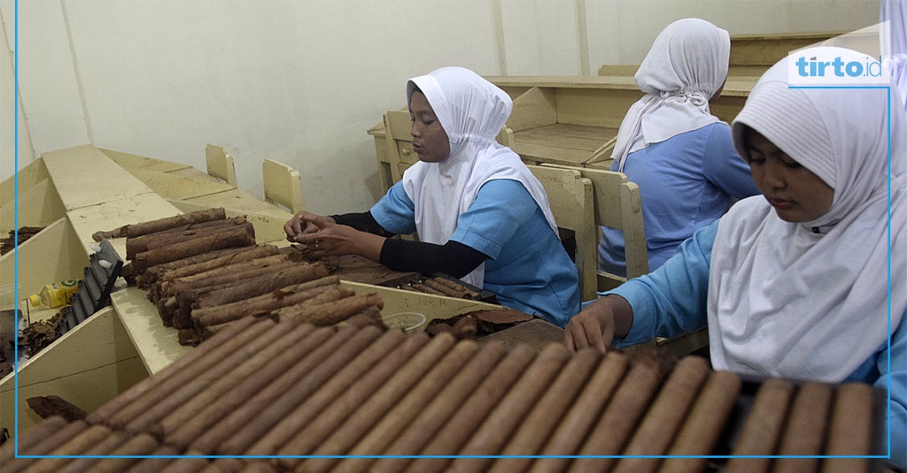Produksi Cerutu Havana di Jember