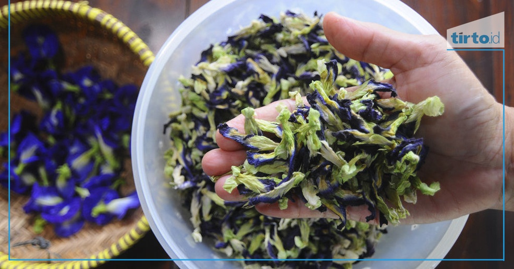 Apa Itu Bunga Telang: Manfaat Mengonsumsi dan Cara Budidaya?