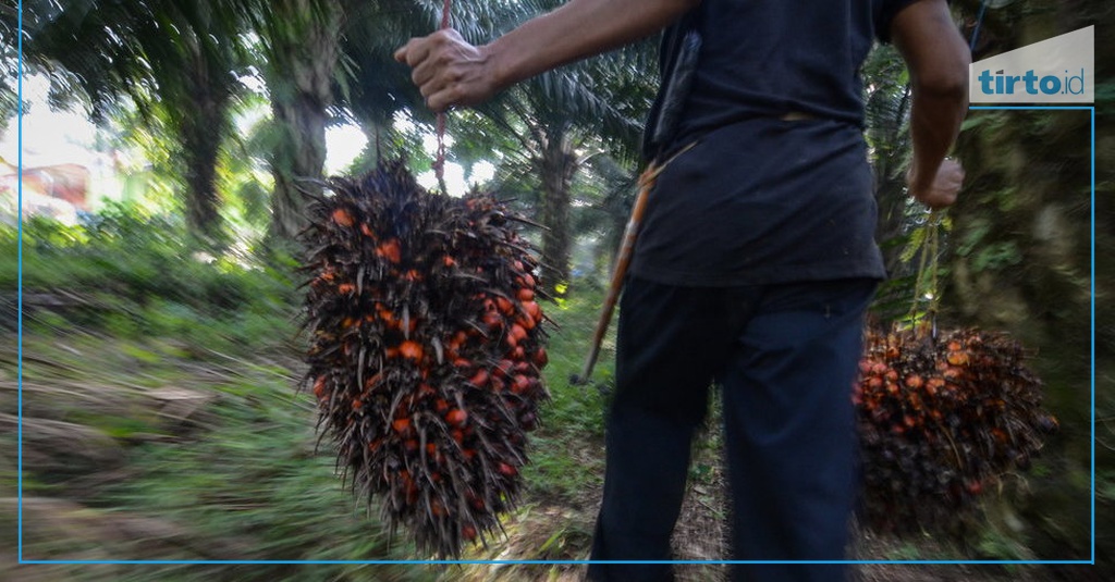 Indonesia Gugat Uni Eropa ke WTO Terkait Diskriminasi Sawit