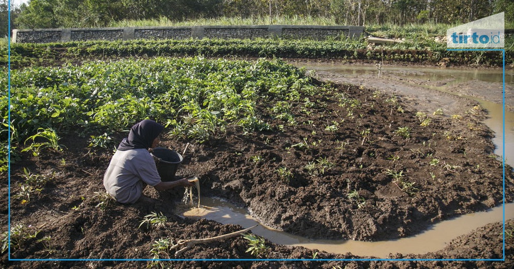 Siaga Darurat Kekeringan, 14 Kecamatan di Gunungkidul Krisis Air
