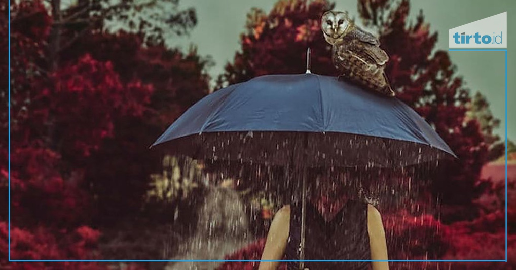 Berita Fotografer - Ruth Orkin, Pembuka Jalan Fotografer Perempuan