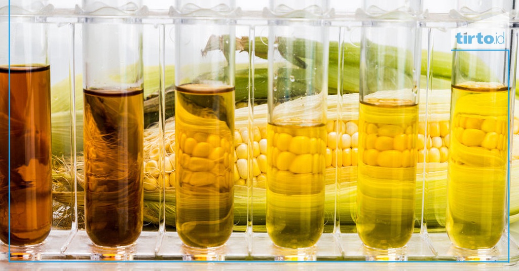 Mengenal Biofuel, Manfaat, Jenis, dan Contohnya