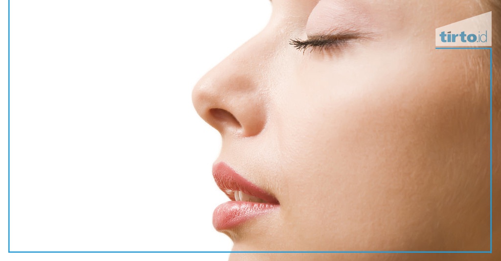 Berita Hidung - Bagian-bagian Hidung dan Fungsinya pada Pernapasan Manusia