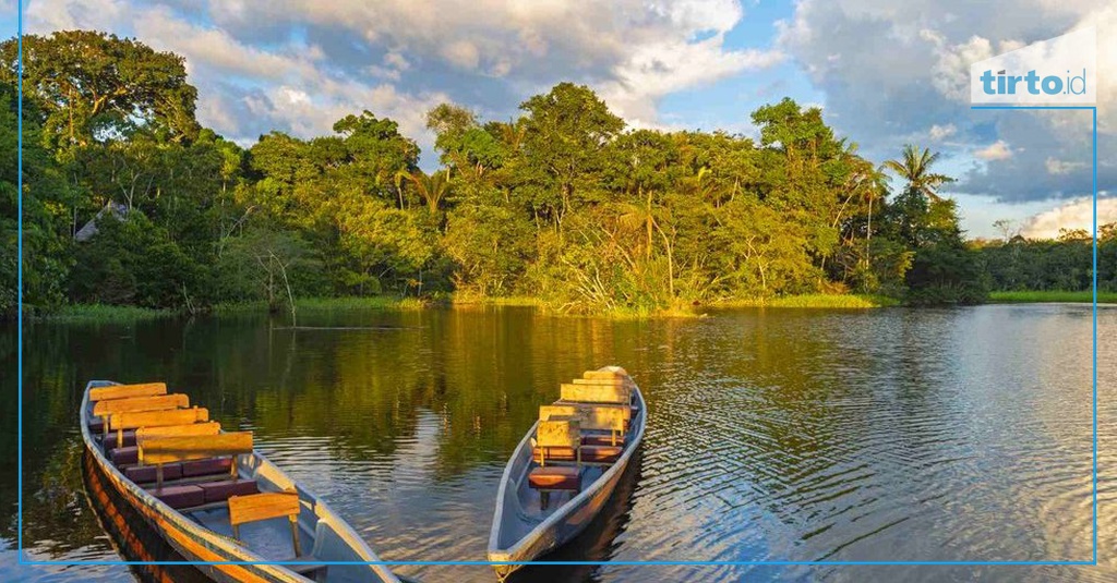 INPE Deteksi 74 Ribu Kebakaran di Hutan Amazon Januari-Agustus