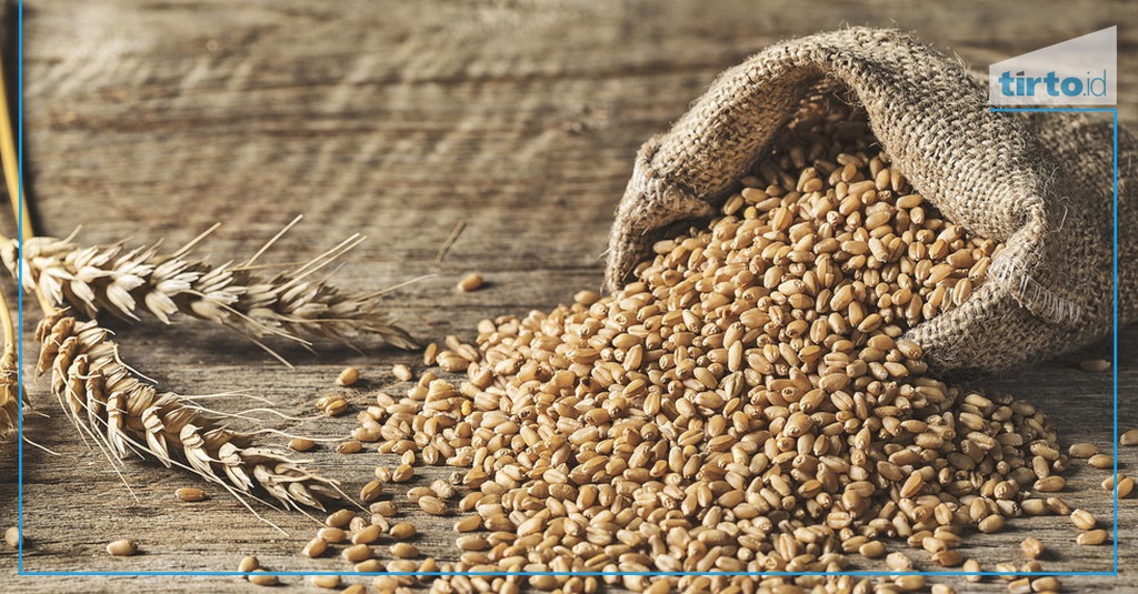 10 Contoh Serealia Beserta Manfaat dan Hasil Pengolahannya