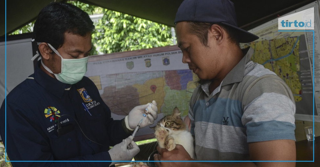 Jadwal Vaksinasi Rabies Gratis di DKI Jakarta & Syarat Mengikutinya
