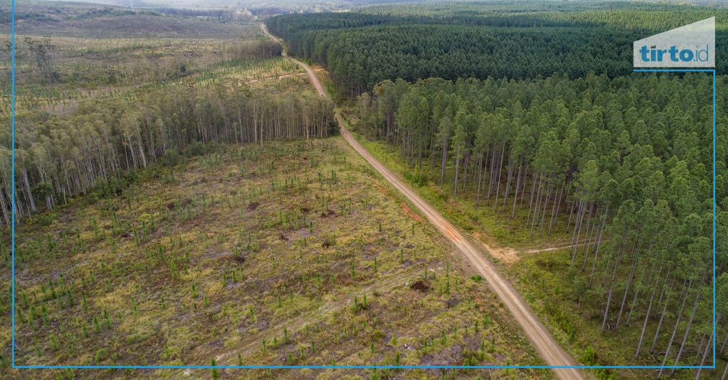 Potensi Sumber Daya Alam: Klasifikasi & Mengenal SDA di Indonesia