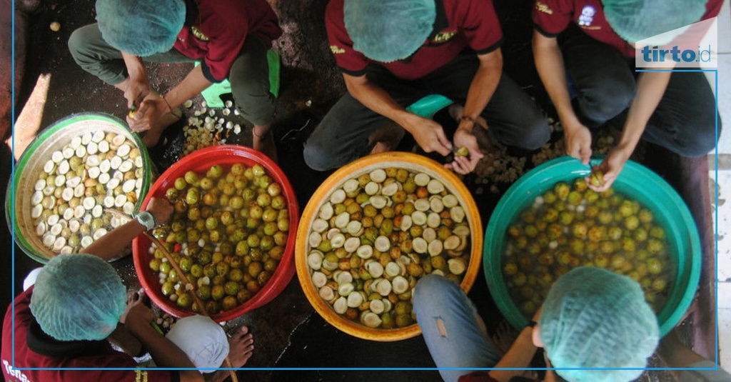 Ketahui Daftar Manfaat Buah Pala dan Apa Saja Kandungan Gizinya?