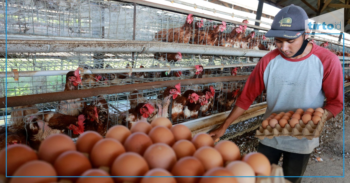 Harga Pangan 15 Maret: Telur, Cabai dan Daging Sapi Naik