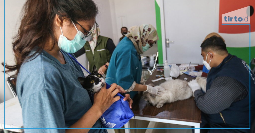 Apa Efek Rabies pada Manusia dan Kenali Gejala-Gejalanya