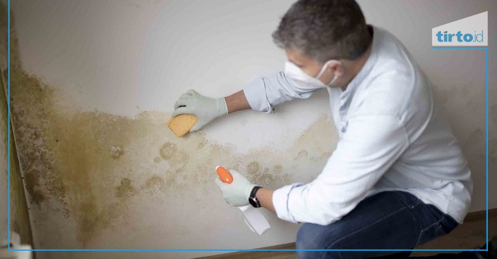 Cara Mengatasi Tembok Lembab dan Basah Akibat Rembes Air Hujan