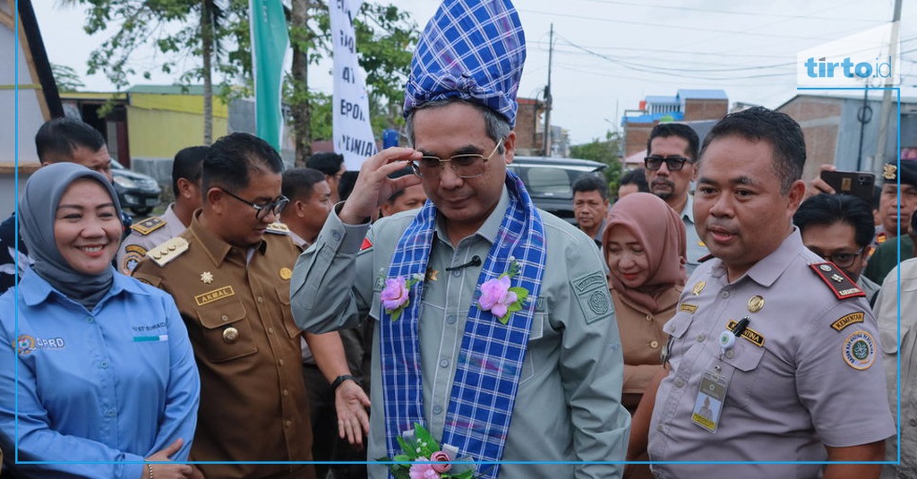 Pemerintah Bakal Selipkan Padi Gogo Di 500 Ribu Ha Lahan Sawit