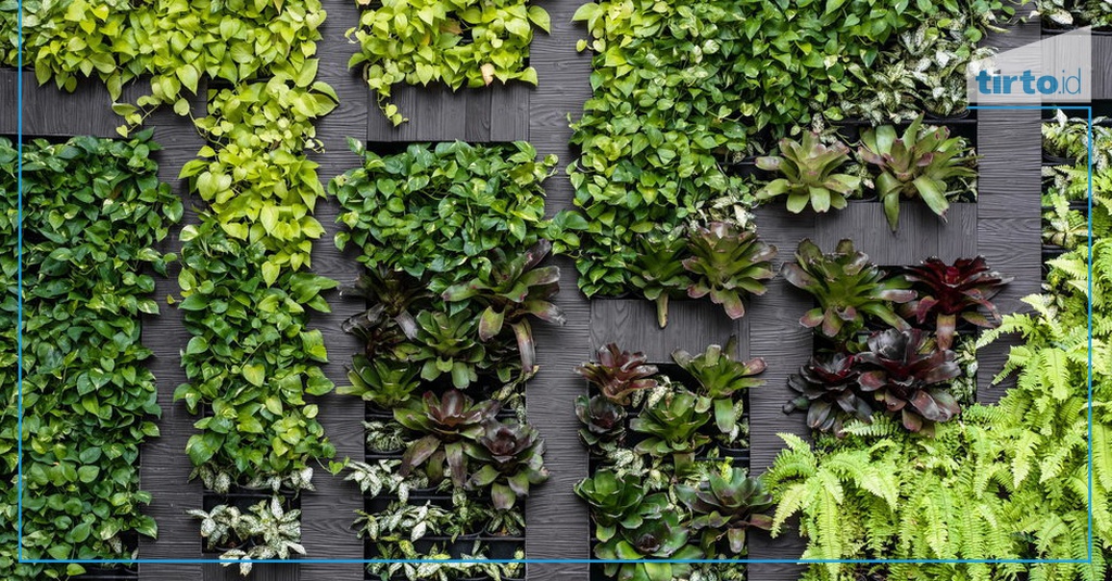 Apa Itu Vertical Garden, Kelebihan dan Kekurangannya?