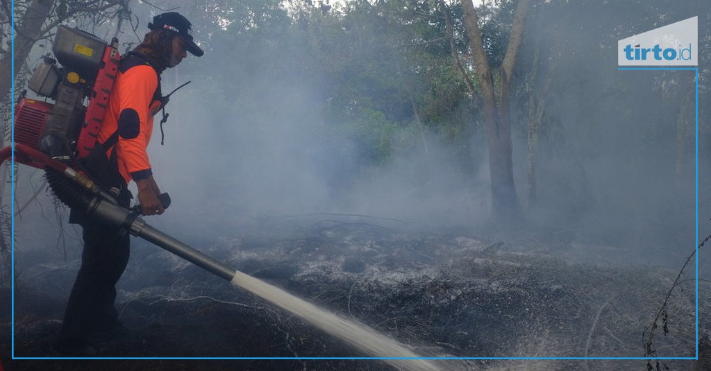 Daftar Kebakaran Hutan di Kalimantan & Sumatera Selama September