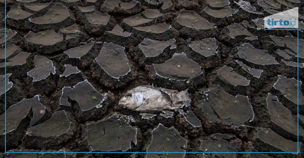 BMKG Imbau Masyarakat Waspadai Bencana Hidrometeorologi Kering