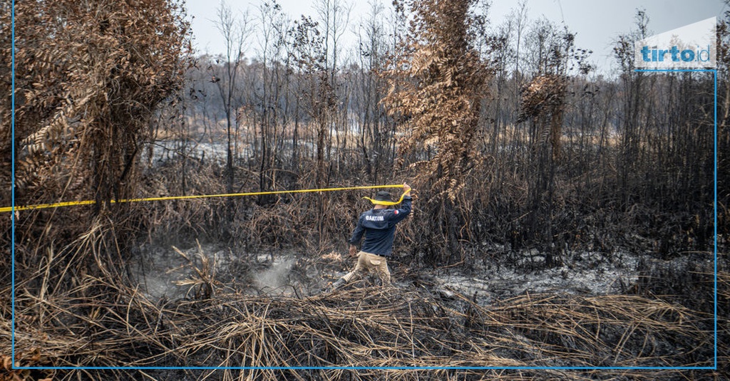 Rentetan Karhutla & Lemahnya Mitigasi hingga Penegakan Hukum