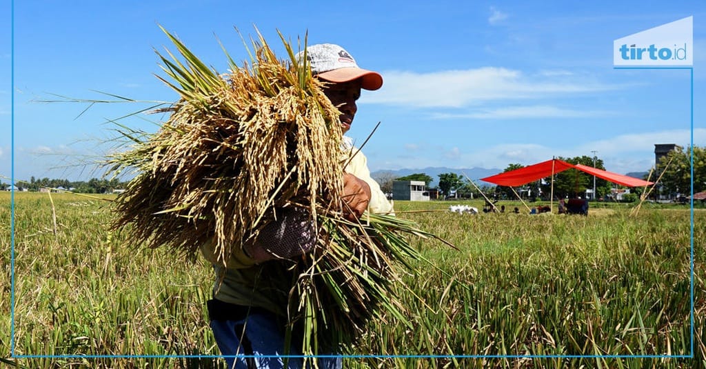 Bapanas Sebut Panen Beras pada April 2024 Capai 4,9 Juta Ton