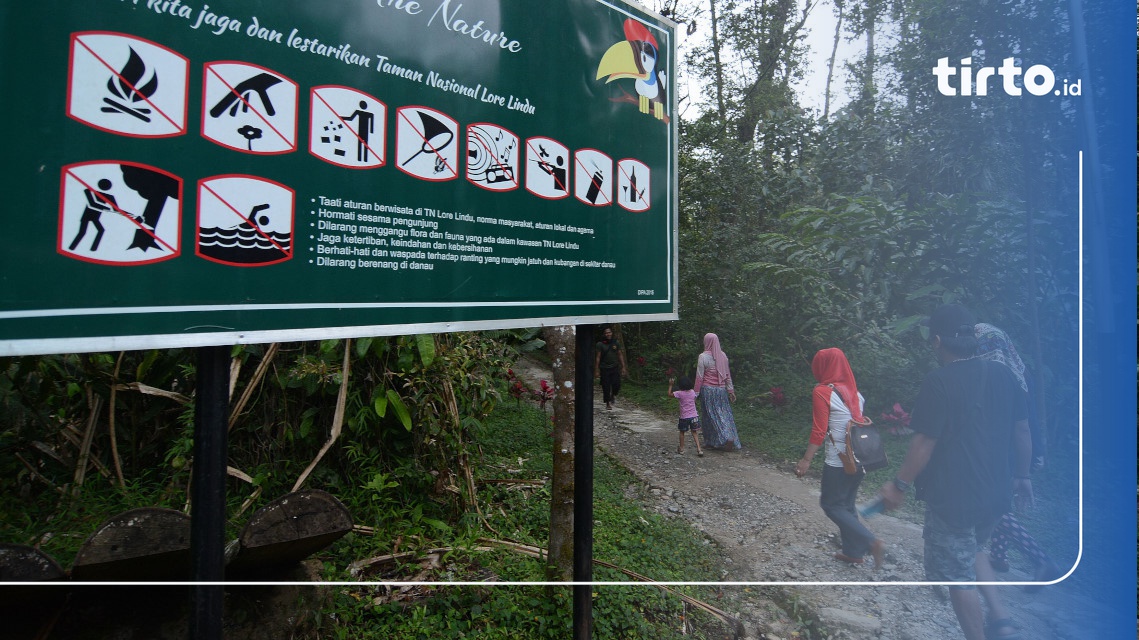 Ciri-ciri Hutan Hujan Tropis, Jenis Flora-Fauna, dan Manfaatnya