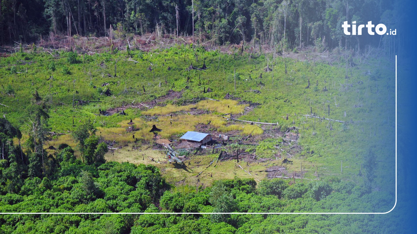 Indonesia Terpilih Jadi Anggota Dewan Biosfer UNESCO