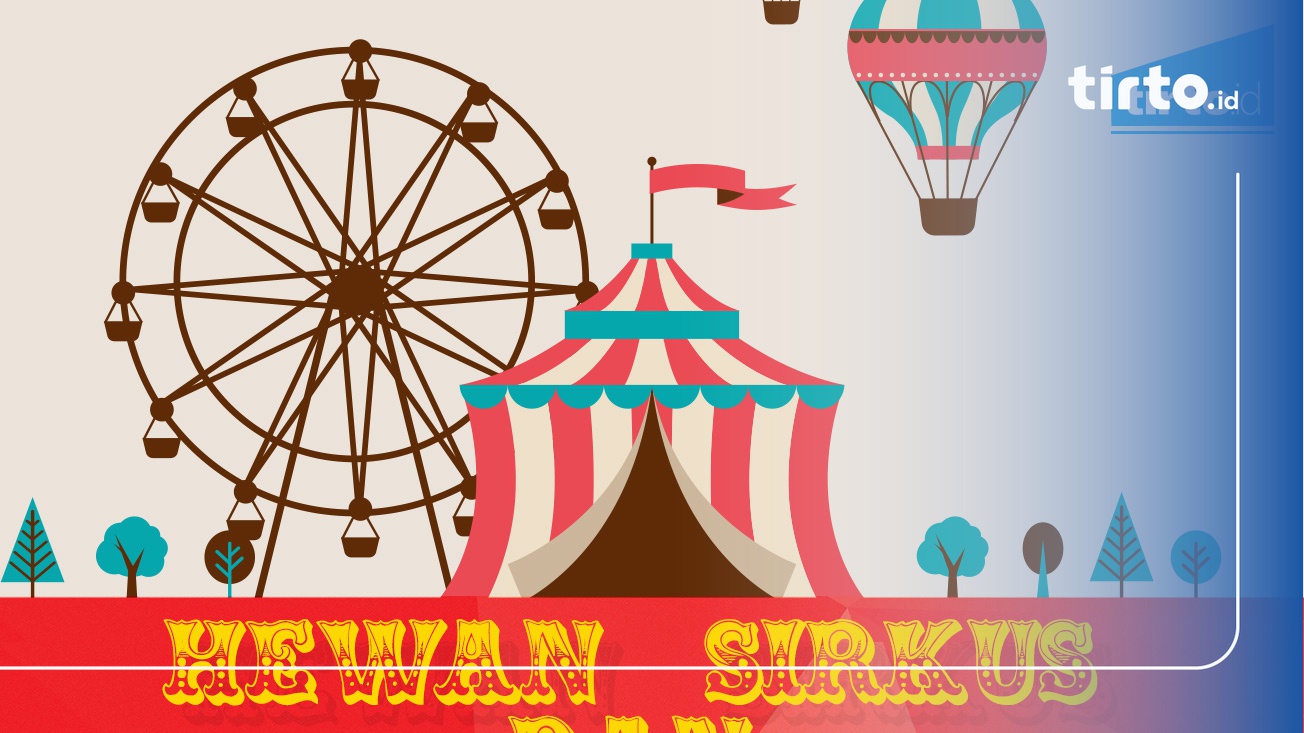 Hewan Sirkus dan Populasinya