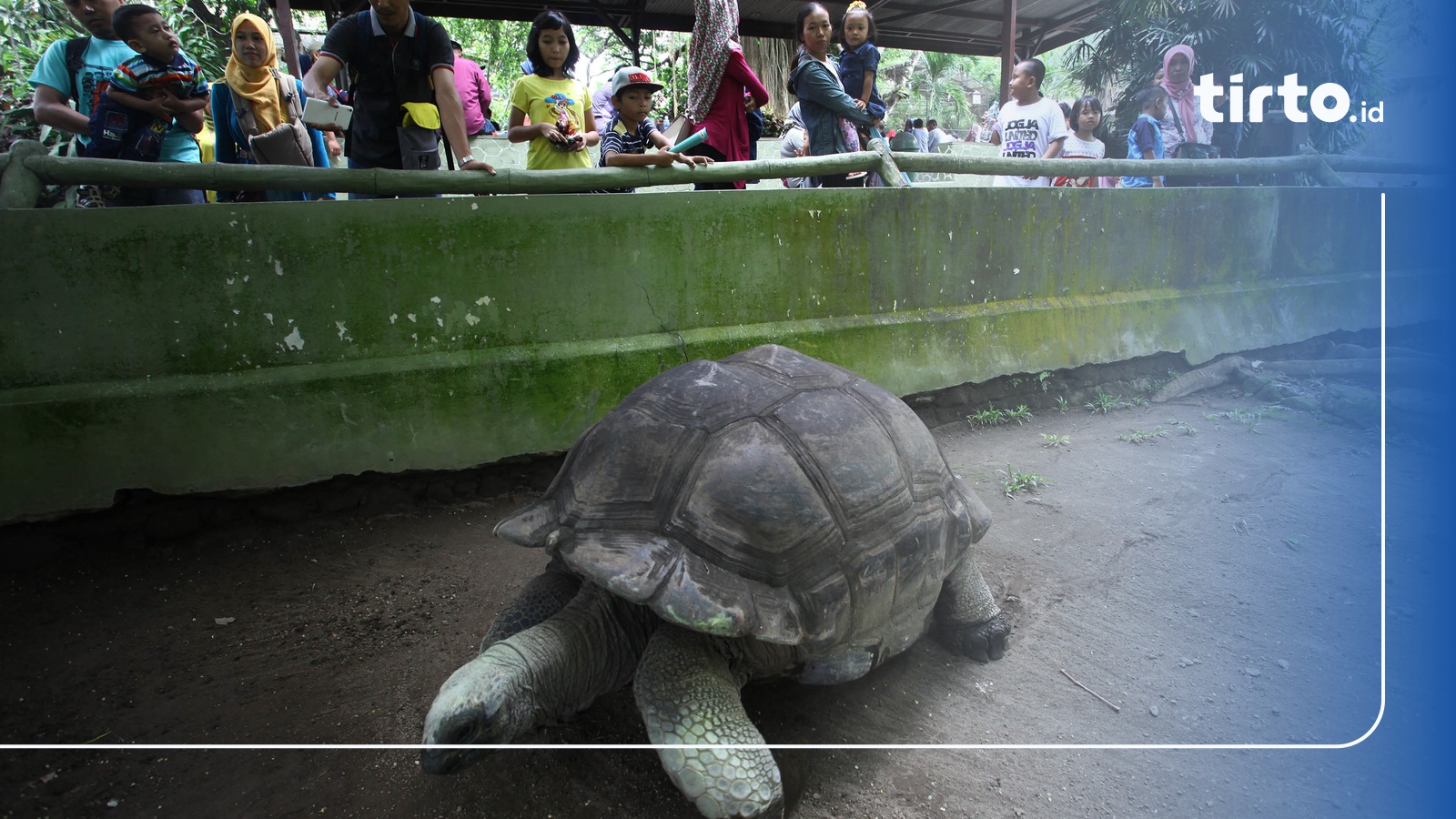 Libur Imlek 2023 dan Harga Tiket Masuk Gembira Loka Zoo