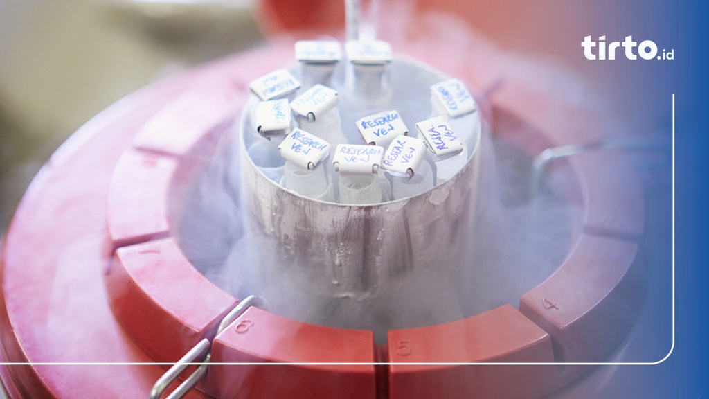 Seluk-Beluk Sewa Rahim Komersial dan Penyelundupan Sperma