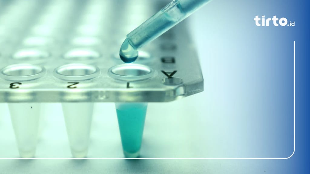 Terapi Stem Cell dan Berharganya Sel Manusia