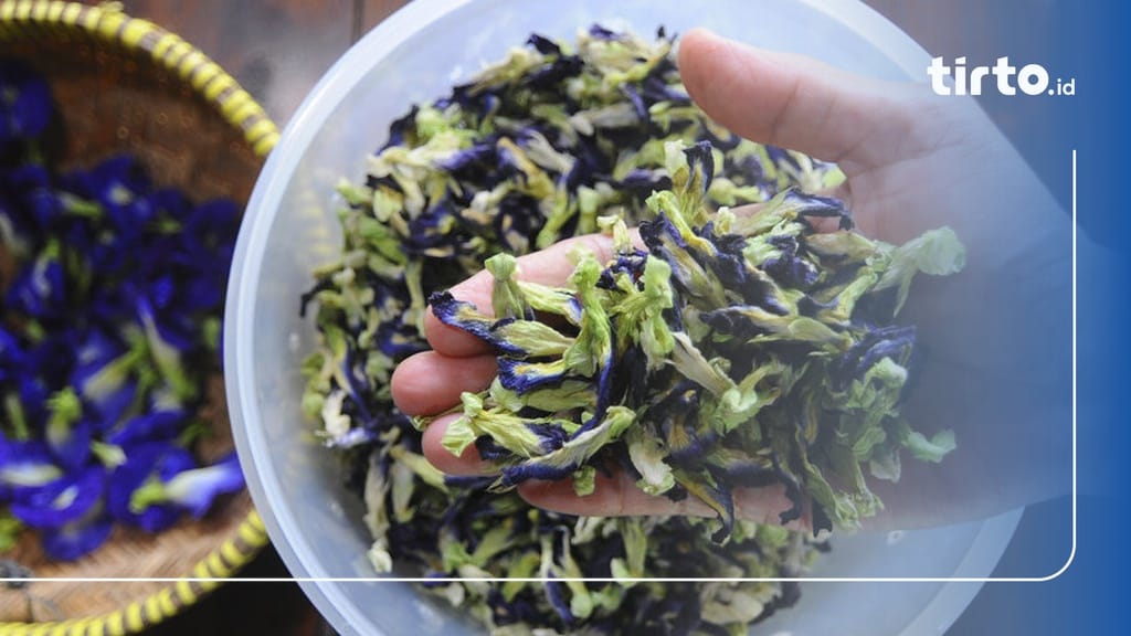 Apa Khasiat Bunga Telang dan Bagaimana Cara Mengonsumsinya?