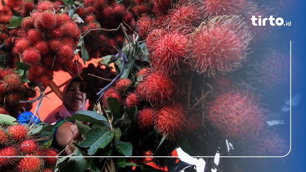 Manfaat Buah Rambutan Bagi Kesehatan dan Kandungan Gizinya