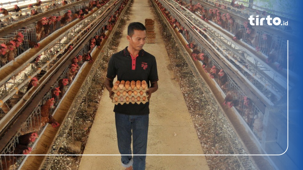 Kemendag Naikkan Harga Telur dan Daging Ayam Mulai 1 Oktober