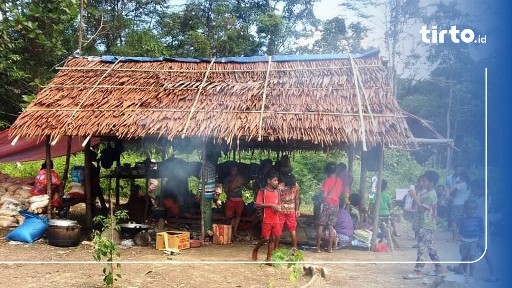 FAO Catat Angka Kelaparan Naik Tajam Imbas Kenaikan Harga Pangan