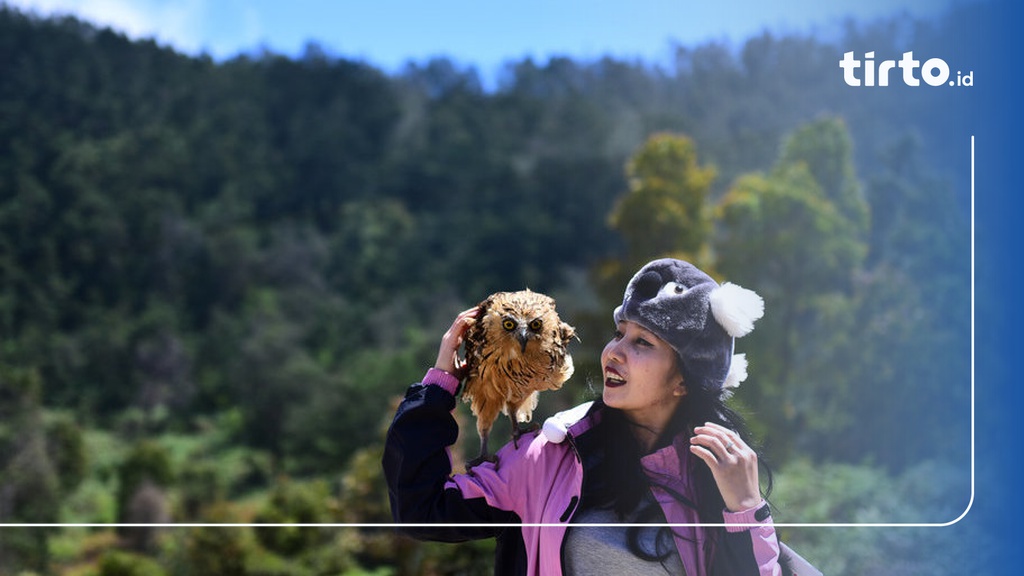 8 Rekomendasi OOTD Outfit ke Dieng yang Nyaman & Stylish