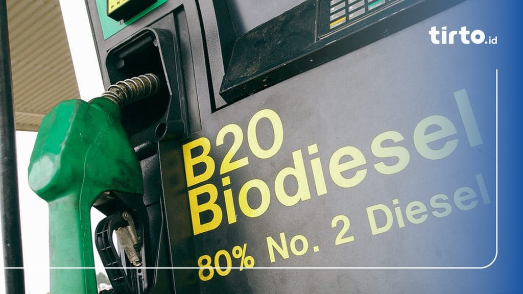 10 Jenis Tumbuhan yang Dapat Dijadikan sebagai Biodiesel 10 Jenis Tumbuhan yang Dapat Dijadikan sebagai Biodiesel