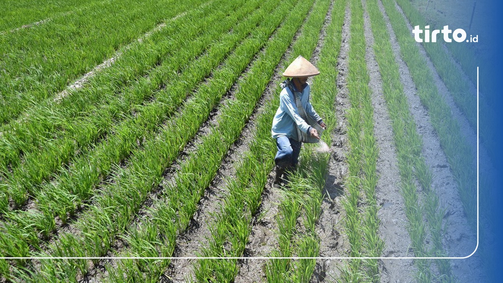 24 September Hari Tani Nasional & Sejarah Diperingati Setiap Tahun