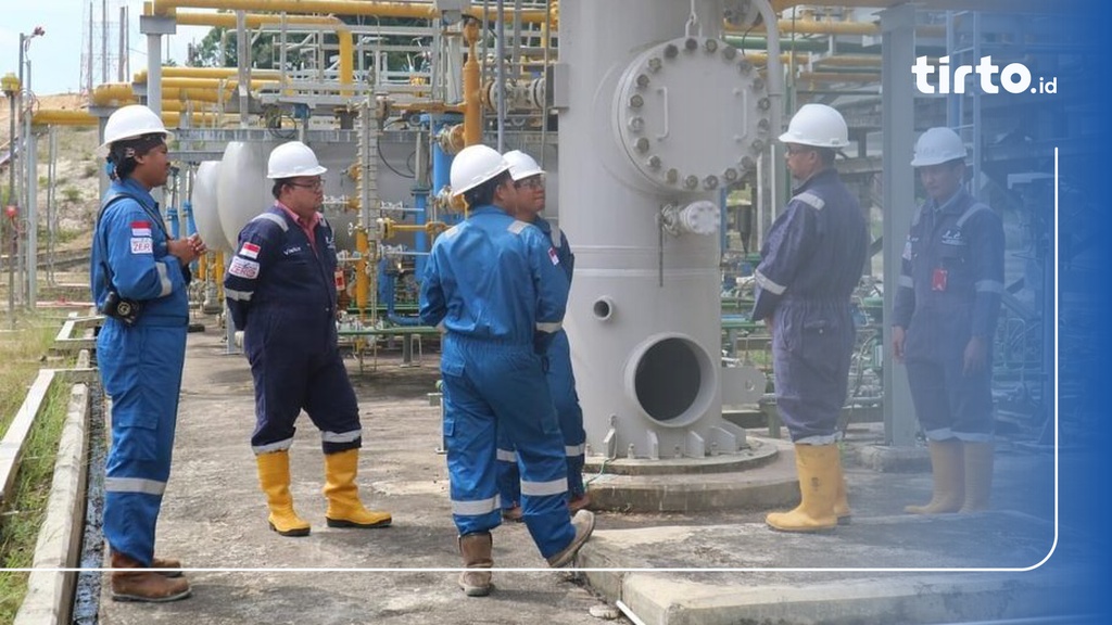 PLN & Pertamina Bersinergi Tingkatkan Pasokan Listrik di Kaltara