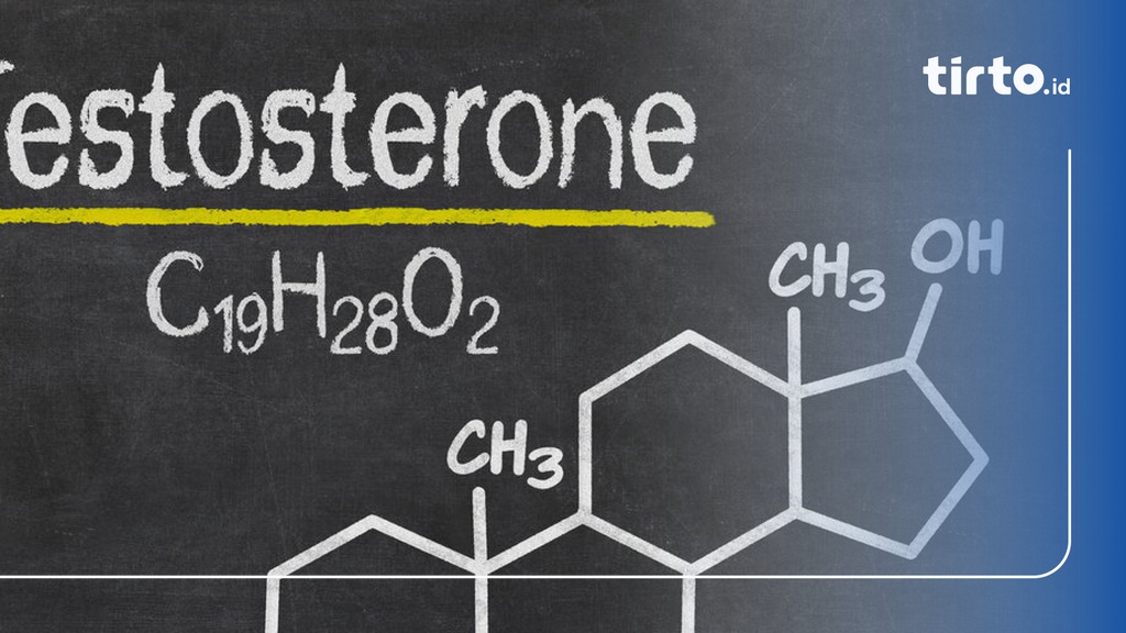 Cara Meningkatkan Hormon Testosteron, Apa Fungsinya bagi Pria?