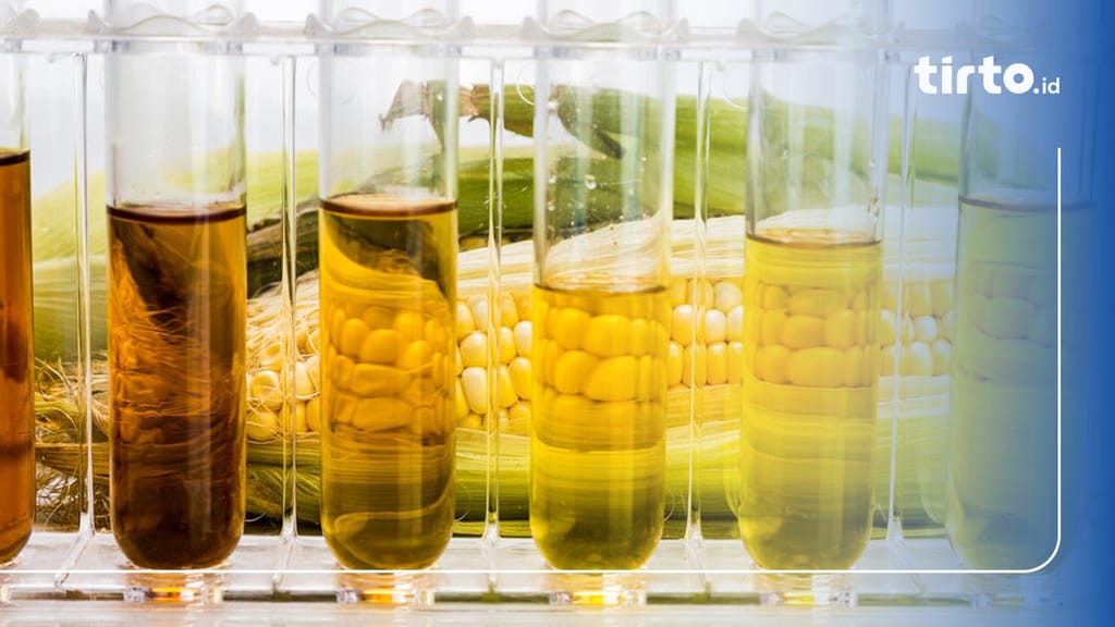 Mengenal Biofuel, Manfaat, Jenis, dan Contohnya