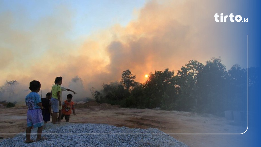 Karhutla Meluas, Gubernur Riau akan Bentuk Posko Siaga Darurat