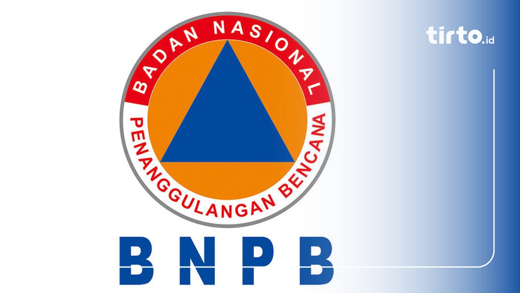 Contoh Surat Pernyataan CPNS BNPB 2024 & Surat Lamaran