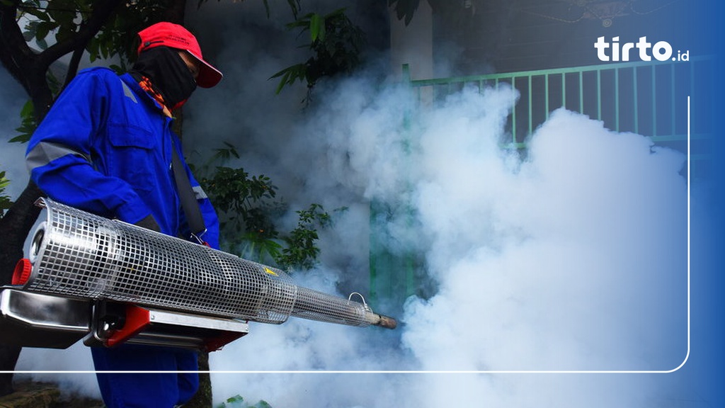 Apakah Fogging Efektif untuk Cegah Demam Berdarah?