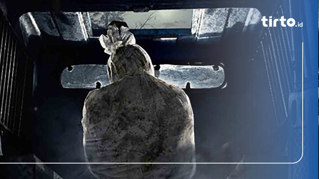 Sinopsis Pocong The Origin yang Rilis di Bioskop Mulai Hari Ini