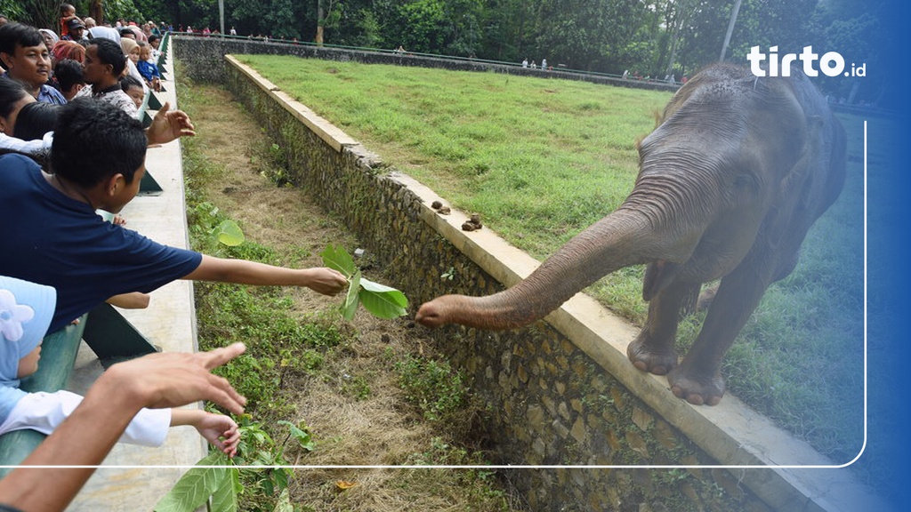 Harga Tiket Ragunan Terbaru 2023 dan Link Pembelian