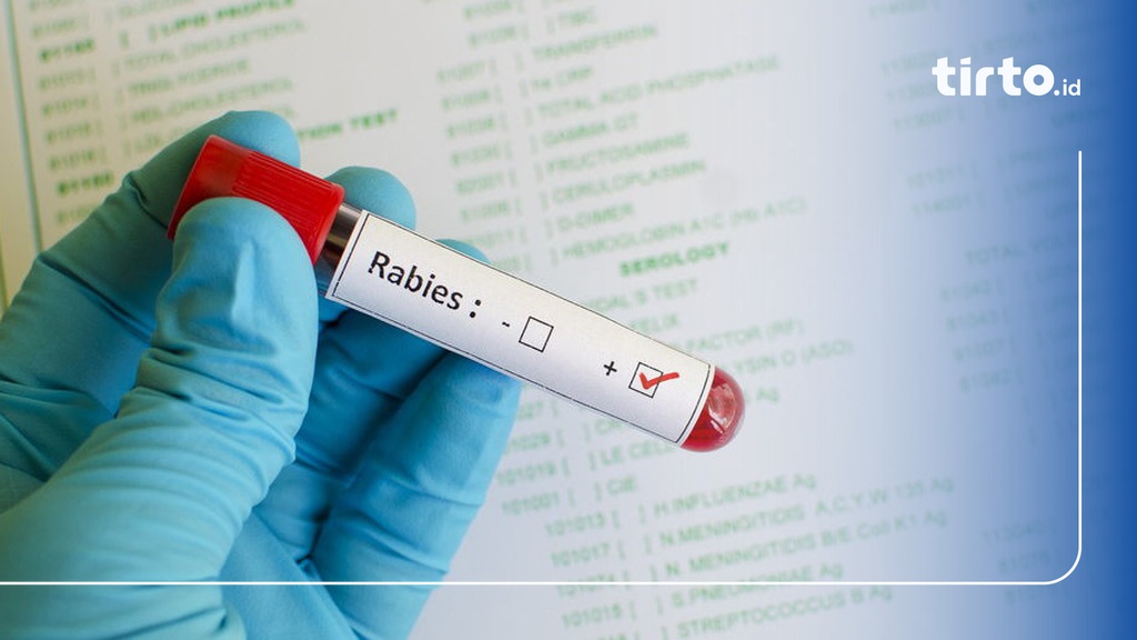 Hewan yang Bisa Terkena Rabies dan 8 Gejala Rabies Pada Hewan