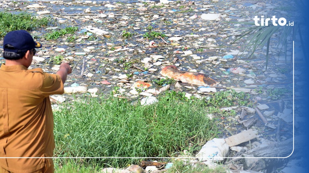 Babi di Sumut Terancam Habis karena Wabah Hog Cholera